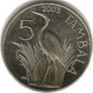 Coin: 5 Tambala (Malawi(1971~Today - Circulation (Kwacha)) WCC:km32.2