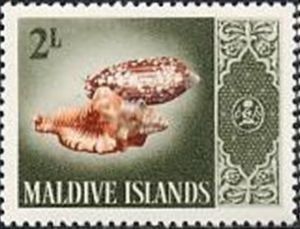 Stamp: Princely Cone (Conus aulicus), Sea Snail (Cymatium sp ...