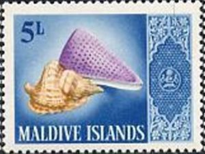 Stamp: Lettered Cone (Conus litteratus) (Maldives(Maldive Shells ...