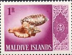 Stamp: Princely Cone (Conus aulicus), Sea Snail (Cymatium sp ...