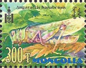 Stamp: Grashopper (Angaracris barabensis) (Mongolia(Mongolian Insects ...