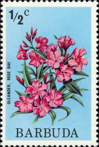 Stamp: Oleander (Barbuda(Definitives 1974-75) Mi:BX 185,Sn:BX 170,Yt:BX ...