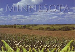 Postcard: Minnesota Farming. Corn is a huge cash crop… (United States ...