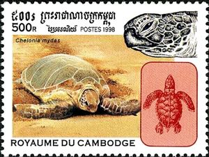 Stamp: Green Sea Turtle (Chelonia mydas) (Cambodia(Turtles) Mi:KH 1869 ...
