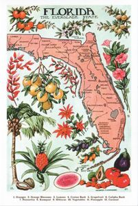 Postcard: Fruit map of Florida (Russia(- Maps and globes) Col:RU-005052