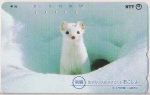 Phonecard: Ermine - " The Northern Alps' Mascote" (Hida) (NTT, Japan ...