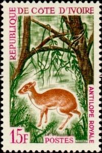 Timbre: Royal Antelope (Neotragus pygmaeus) (Côte D'ivoire(Fauna (1964 ...