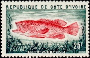 Timbre: Bluespotted Seabass (Cephalopholis taeniops) (Côte D'ivoire ...