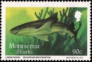 Stamp: Lemon Shark (Negaprion brevirostris) (Montserrat(Sharks) Mi:MS ...