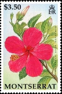 Stamp: Hibiscus rosa sinensis (MontserratMi:MS 891,Sn:MS 843,Yt:MS 825 ...