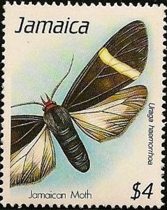 Stamp: Moth (Uraga haemorhoa) (Jamaica) (Jamaican Moths (2nd series ...