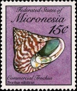 Stamp: Commercial Top Shell (Trochus niloticus) (Micronesia, Federated ...