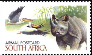 Selo: Pink-backed Pelican and Black Rhinoceros (África do Sul(Explore ...