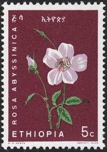 Stamp: Ethiopian Rose (Rosa abyssinica) (Ethiopia(Flowers) Mi:ET 495,Sn ...