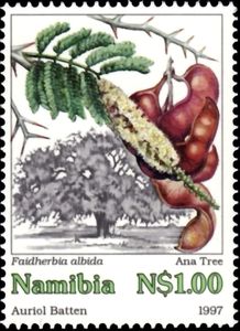 Stamp: Ana Tree (Faidherbia albida) (Namibia(Fruit trees) Mi:NA 868,Sn ...