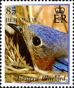 Stamp: Eastern Bluebird (Sialia sialis) (Bermuda(Bermuda Audubon ...