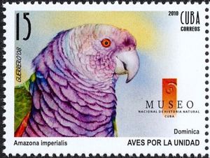 Stamp: Imperial Amazone (Amazona imperialis) (Cuba(Birds - Museum of ...