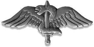 Decoration: Troopers "Paratroopers" Unit Warrior Badge (Israel(IDF ...