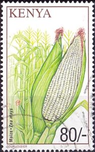 Stamp: Maize - Zea mays (Kenya(Crops) Mi:KE 758,Sn:KE 762,Yt:KE 741,Sg ...