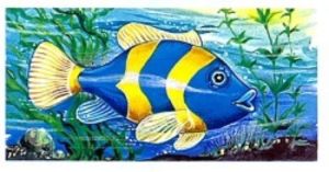 Meal Toy: Pink fish (Kinder Surprise, Europe) (Kinder - Fish) Col:K94-14a