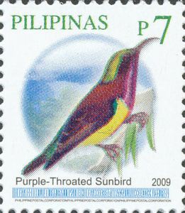 Stamp: Purple-throated Sunbird (Leptocoma sperata) (Philippines(Birds ...