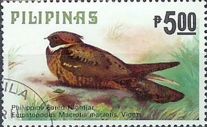 Stamp: Great Eared-nightjar (Lyncornis macrotis) (Philippines(Fauna ...