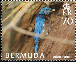 Stamp: Eastern Bluebird (Sialia sialis) - Forest (Bermuda(Birds and ...