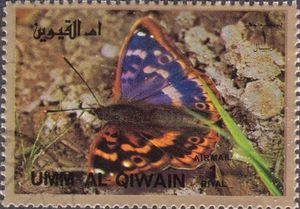 切手: Purple emperor (Apatura iris) (ウンム・アル＝カイワイン(Butterflies; large ...