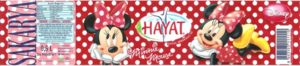 Drink Label: Hayat-Doğal Mineralli Su (Danone Hayat İçecek A.Ş ...