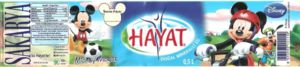 Drink Label: Hayat-Doğal Mineralli Su (Danone Hayat İçecek A.Ş ...