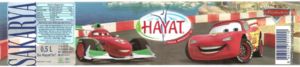 Drink Label: Hayat-Doğal Mineralli Su (Danone Hayat İçecek A.Ş ...