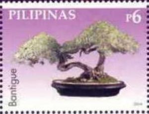Stamp: Bantigue (Ligon) (Philippines) (Philippine Bonsai) Mi:PH 3524,Sn ...