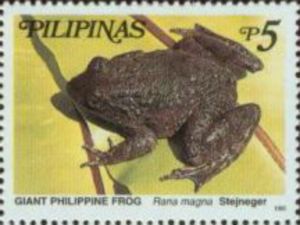 Stamp: Giant Philippine Frog (Rana magna) (Philippines(Endemic Frogs of ...