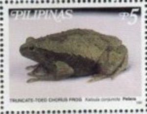 Stamp: Truncate-toed Chorus Frog (Kaloula conjuncta) (Philippines ...