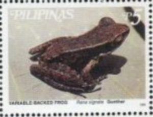 Stamp: Variable-backed Frog (Rana signata) (Philippines(Endemic Frogs ...