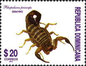 Stamp: Scorpion (Rhopalurus princeps) (Dominican Republic(Arachnids) Mi ...