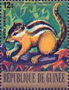 Stamp: Indian Palm Squirrel (Funambulus palmarum) (see Description ...