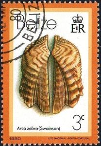 Stamp: Turkey Wing Ark Clam (Arca zebra) (Belize(Shells Definitives) Mi ...