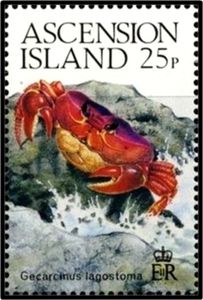 Stamp: Yellow and Purple Land Crab (Gecarcinus lagostoma) (Ascension ...