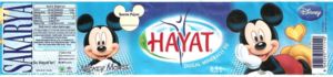 Drink Label: Hayat-Doğal Mineralli Su (Danone Hayat İçecek A.Ş ...