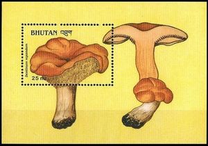 Stamp: Dentinum repandum (Bhutan) (Mushrooms & Fungi (1989)) Mi:BT ...