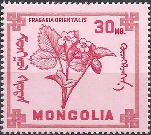 Stamp: Strawberries (Fragaria orientalis) (Mongolia(Berries) Mi:MN 494 ...
