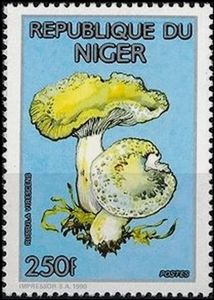 Stamp: Russula virescens (Niger(Mushrooms and Butterflies) Mi:NE 1111A ...