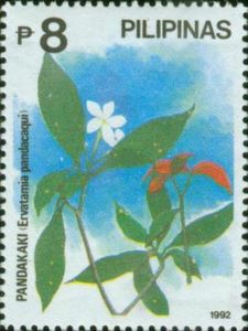 Stamp: Pandakaki (Ervatamia pandacaqui) (Philippines(Philippine ...