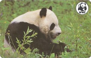 Phonecard: WWF - Panda Bear (FAKE Malawi, Fake(Malawi Telecom - WWF ...