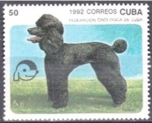 Stamp: Poodle (Canis lupus familiaris) (Cuba(Dogs (1992)) Mi:CU 3564,Sn ...