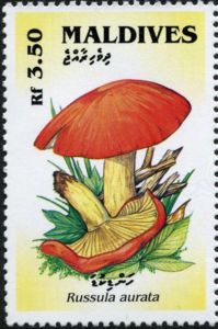 Stamp: Russula aurata. (Maldives(Mushrooms (1992)) Mi:MV 1731,Sn:MV ...