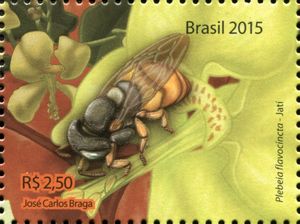 Stamp: Stigless Bee (Plebeia flavocincta) (Brazil(Brazilian meliponian ...