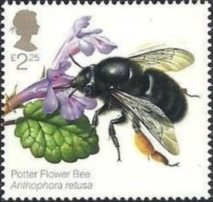 Stamp: Potter Flower Bee (Anthophora retusa) (United Kingdom of Great ...