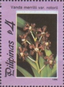 Stamp: Vanda merrillii var. rotorii (Philippines(Orchids) Mi:PH 2725,Sn ...